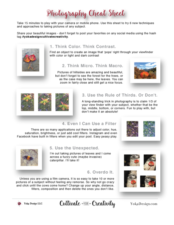 Free Photography Cheat Sheet