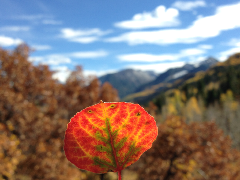 6 Tips for Fall Photos