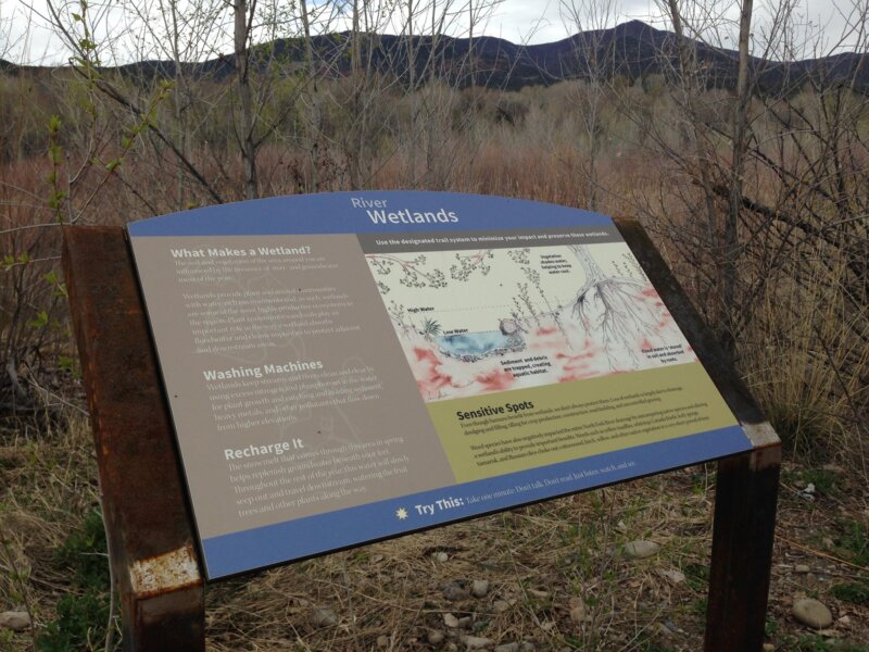 Interpretive Sign Design with hand painted watercolor images